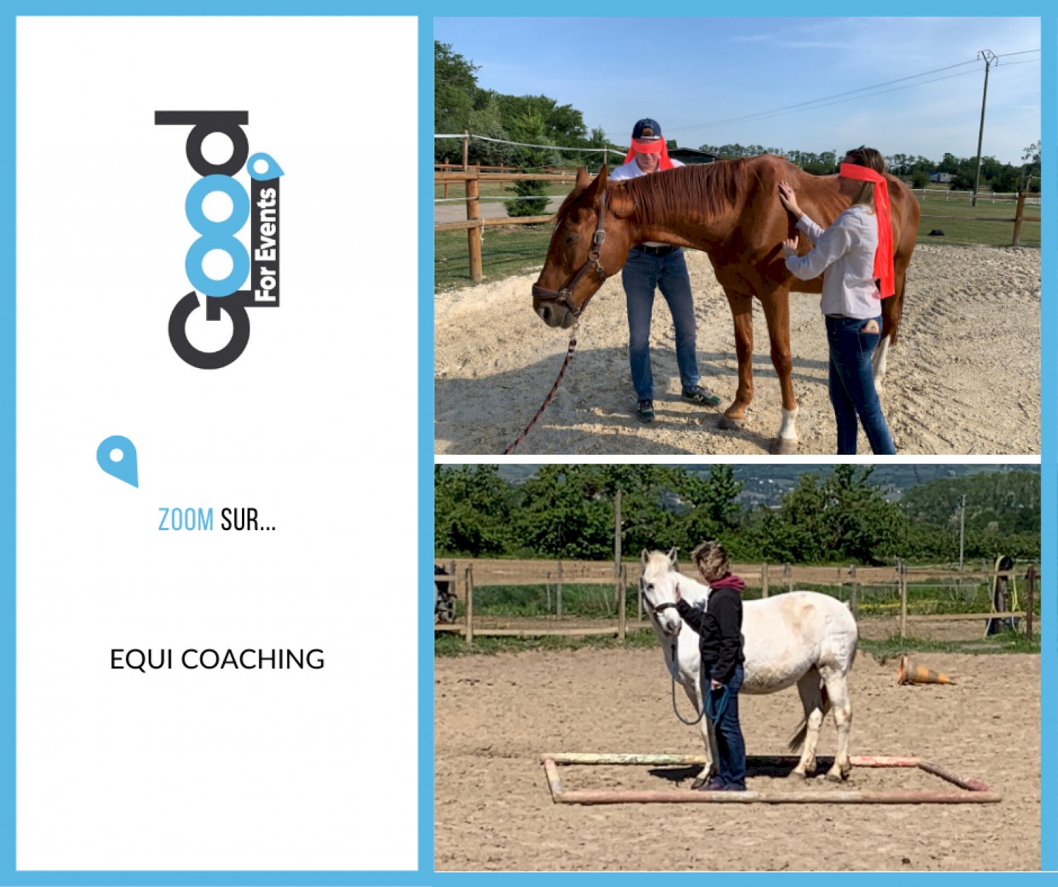 Good For Events | BREF I Equi Coaching pour votre Team Building